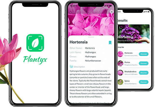 Las mejores 8 aplicaciones para identificar plantas y flores en el iPhone