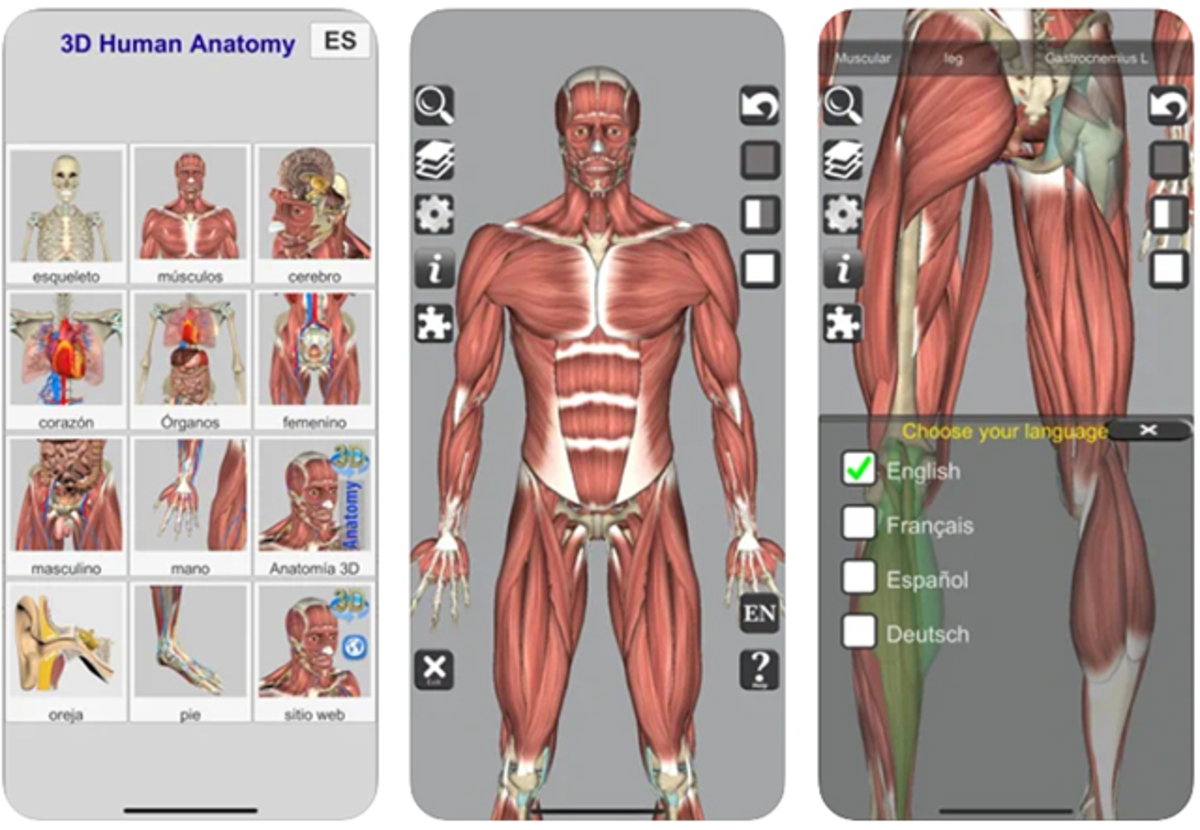 Best Apps To Learn Anatomy From IPhone Gearrice Best Apps To Learn Anatomy From IPhone Gearrice