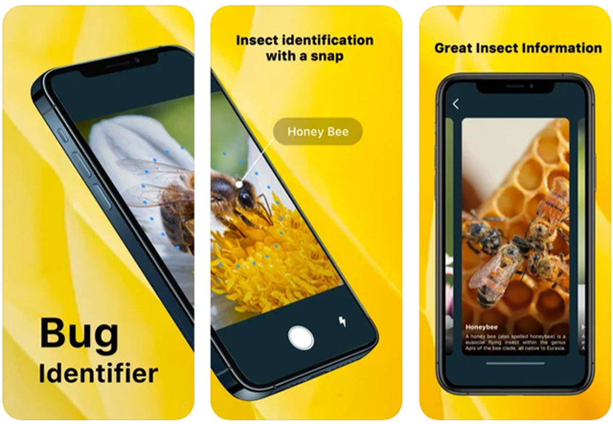 Mejores apps para identificar insectos desde iPhone