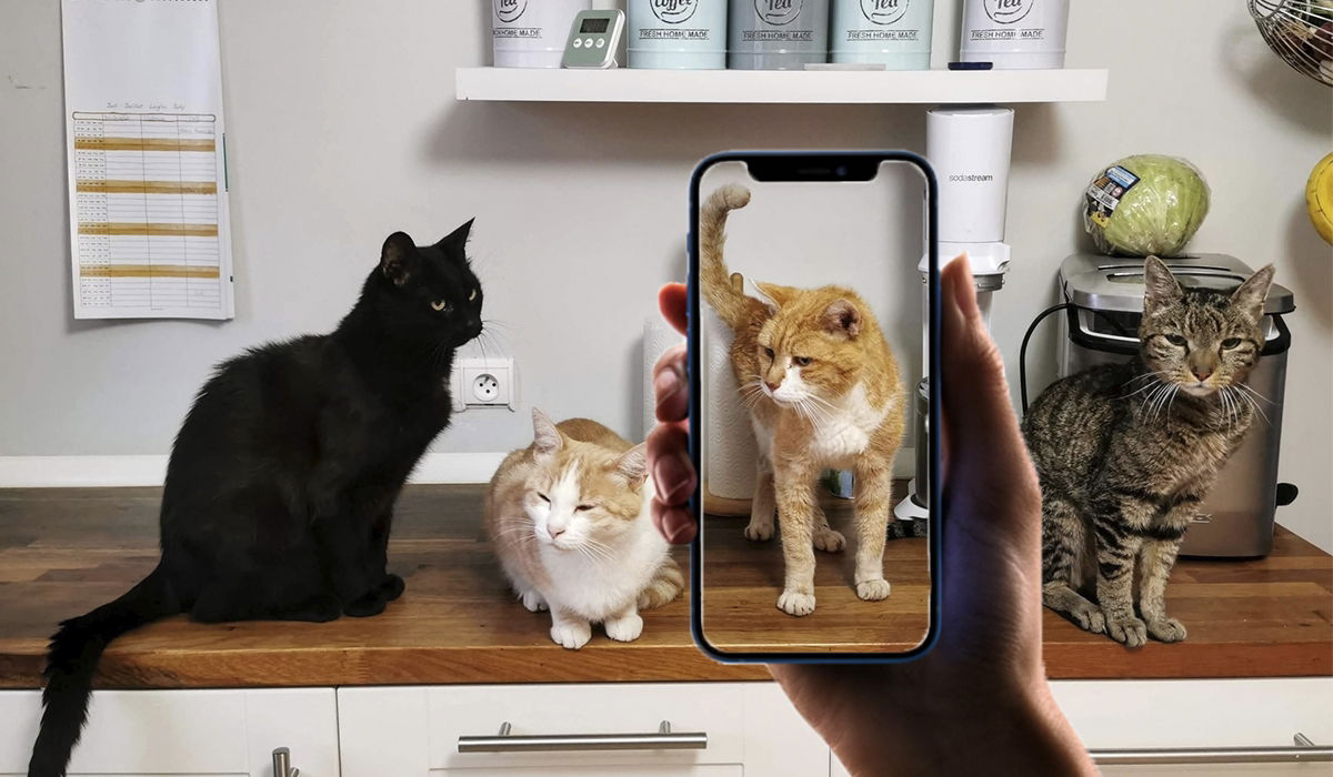 7 Cat Breed Identification Apps Available for iPhone | Gadgetonus