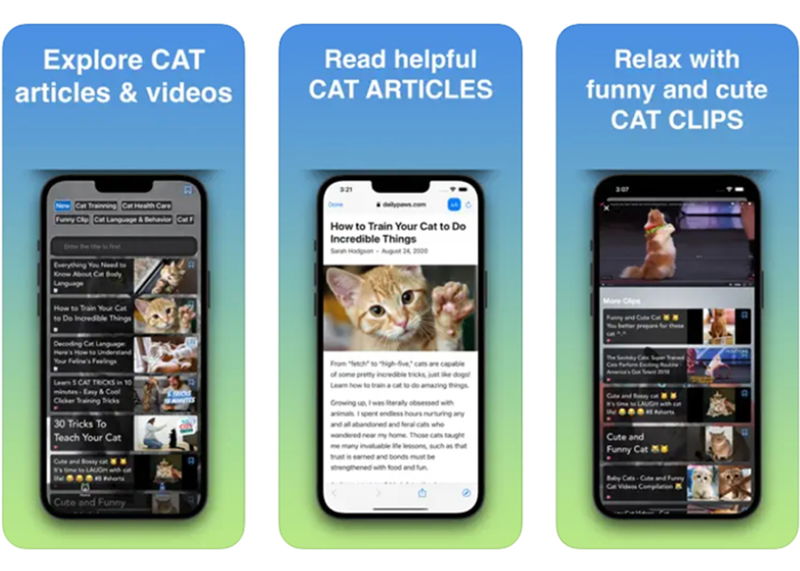 7 aplicaciones de identificación de razas de gatos disponibles para iPhone