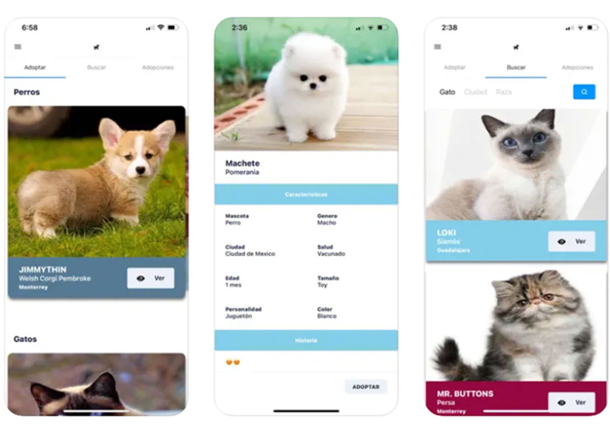 Mejores 8 apps para adoptar mascotas desde iPhone