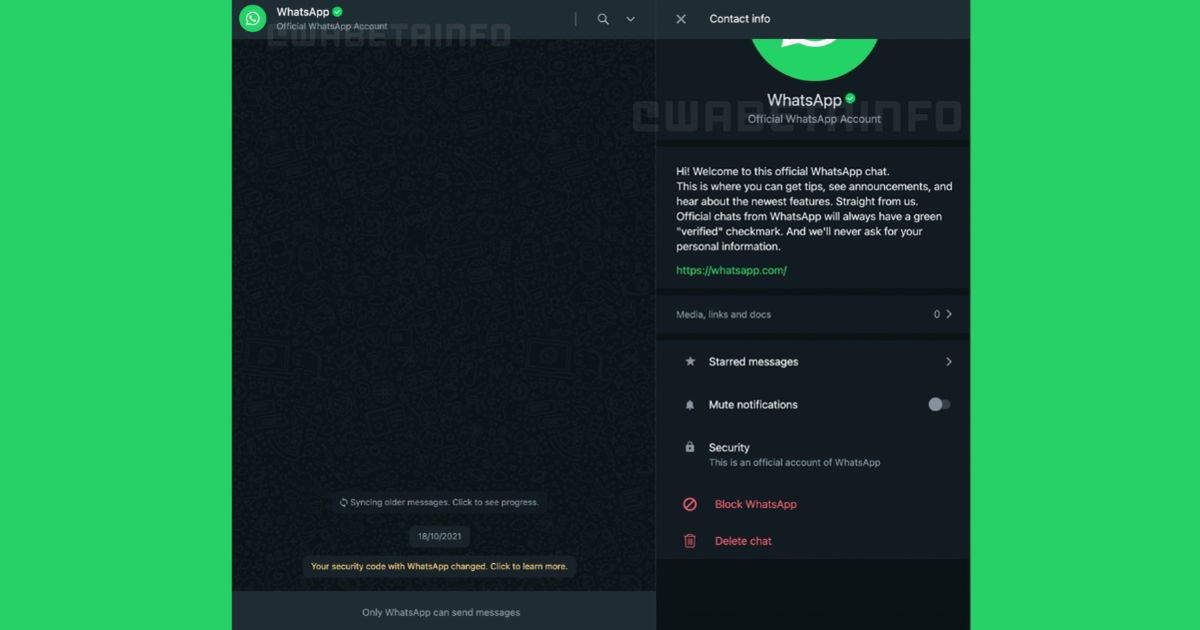 WhatsApp tendrá un chat oficial donde anunciar novedades y mostrar consejos