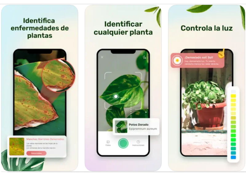 Mejores apps para el cuidado de plantas desde iPhone