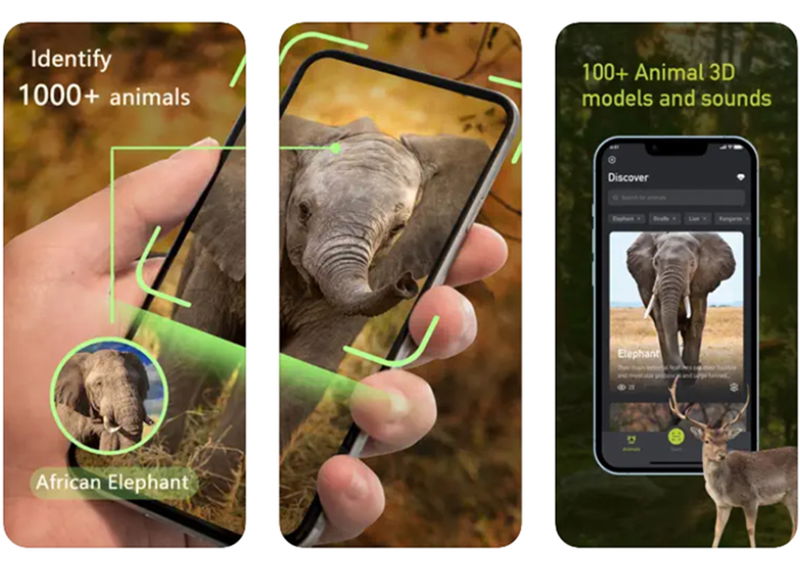 Mejores apps para identificar animales desde iPhone