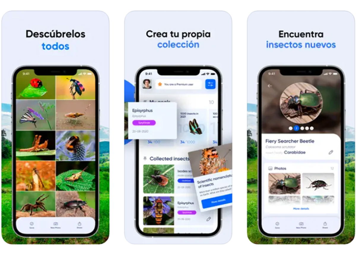 Mejores apps para identificar animales desde iPhone