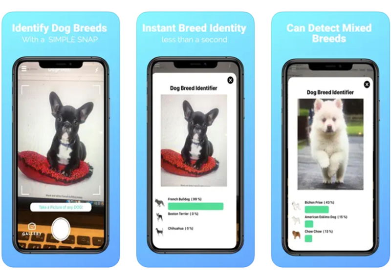 Mejores apps para identificar animales desde iPhone