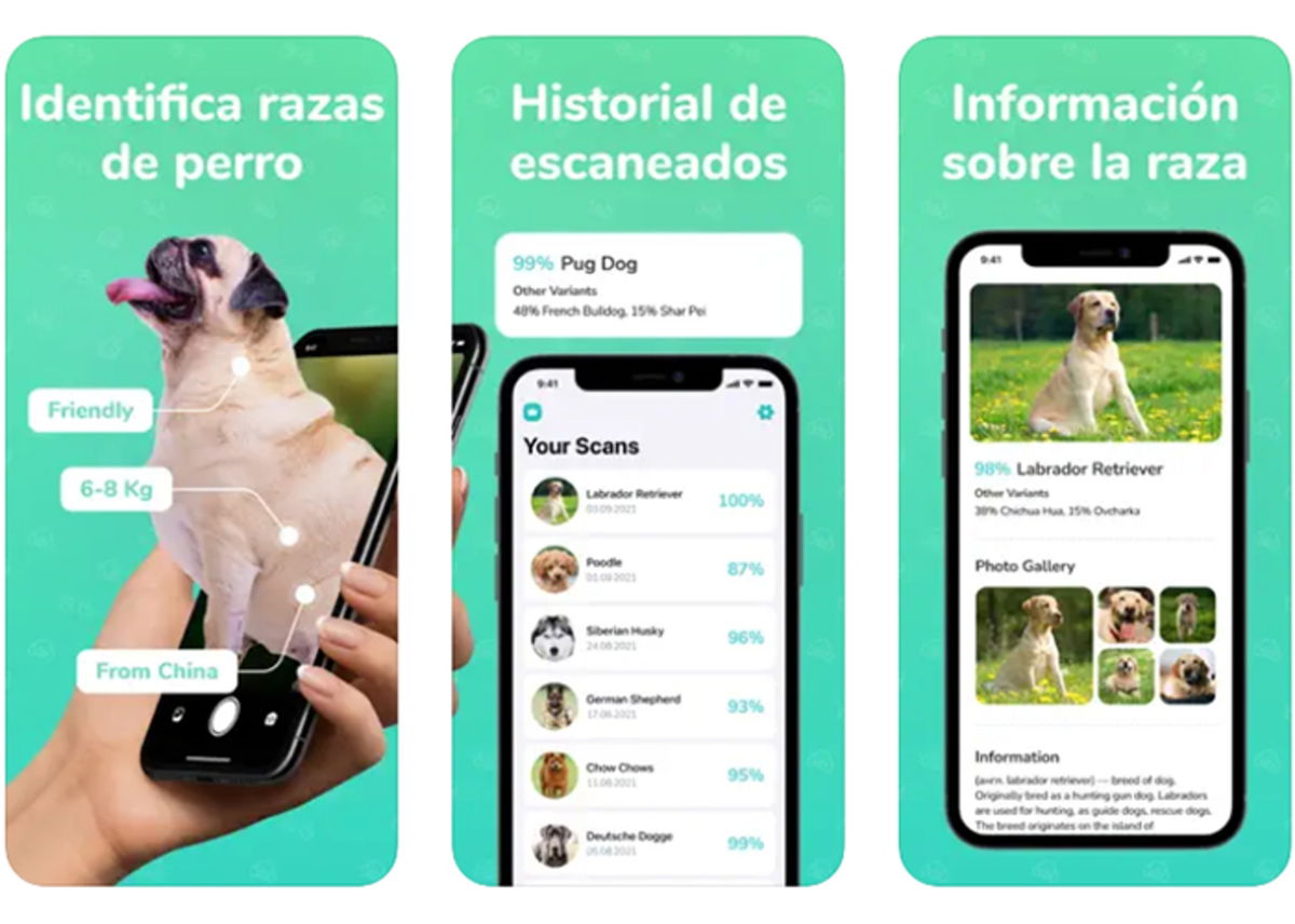 Mejores apps para identificar animales desde iPhone