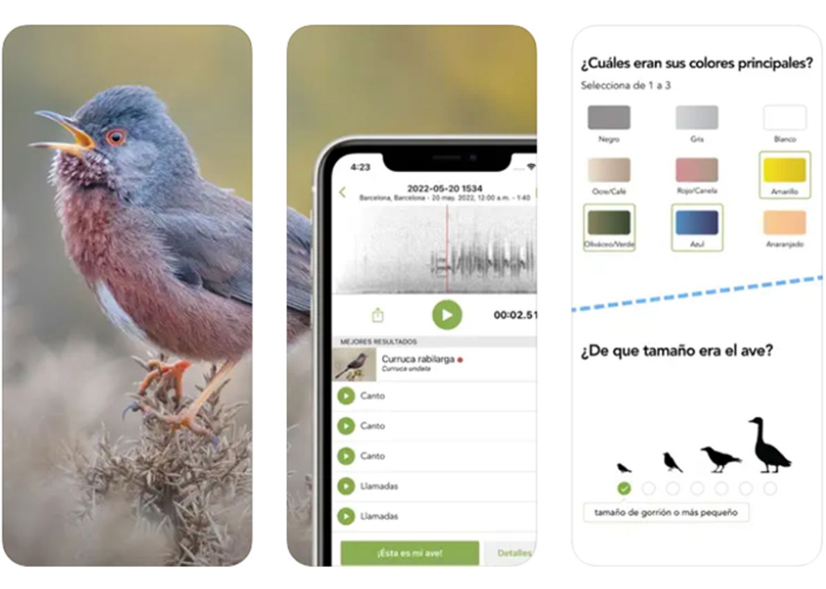 Mejores apps para identificar animales desde iPhone