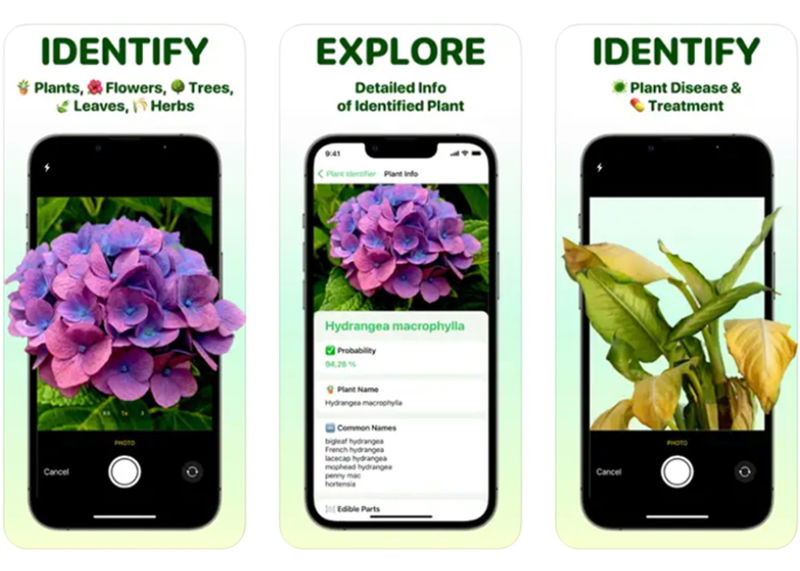 Applications for detecting diseases and pests in plants from the iPhone