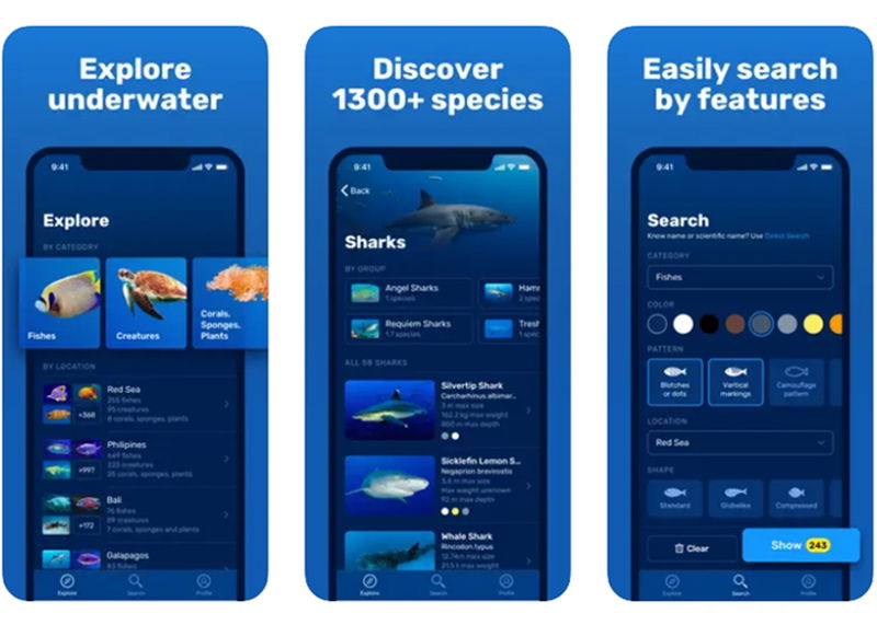 Mejores apps para identificar peces y criaturas marinas desde iPhone